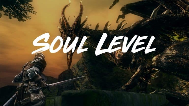 What to Level Up in Dark Souls Remastered - Game Voyagers
