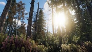 How to Avoid and Get Rid of Radiation in Rust - Game Voyagers