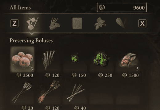 How to Cure and Prevent Scarlet Rot in Elden Ring - Game Voyagers