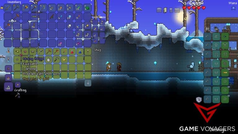 How to Get More Accessory Slots in Terraria - Game Voyagers