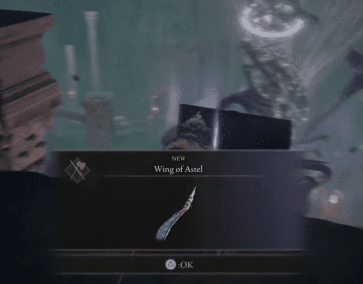 This Might Be the Most Fun Build in Elden Ring - Game Voyagers