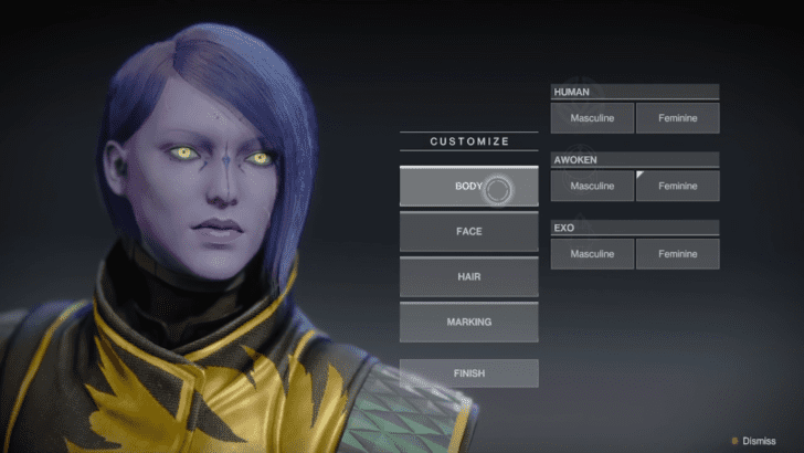 Can You Change Your Appearance In Destiny 2? - Game Voyagers