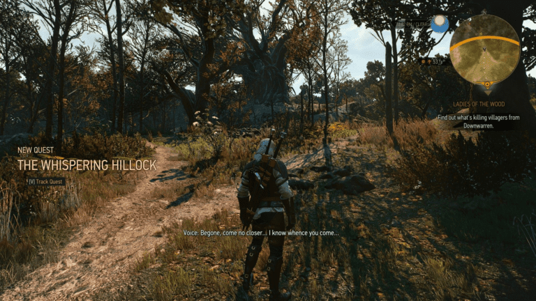 Should I Kill The Tree In The Witcher 3? - Game Voyagers