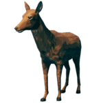 Can you tame deer in Valheim? - Game Voyagers