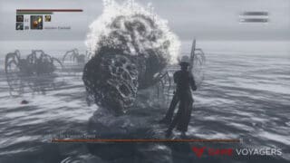 How to Beat Rom, the Vacuous Spider in Bloodborne - Game Voyagers